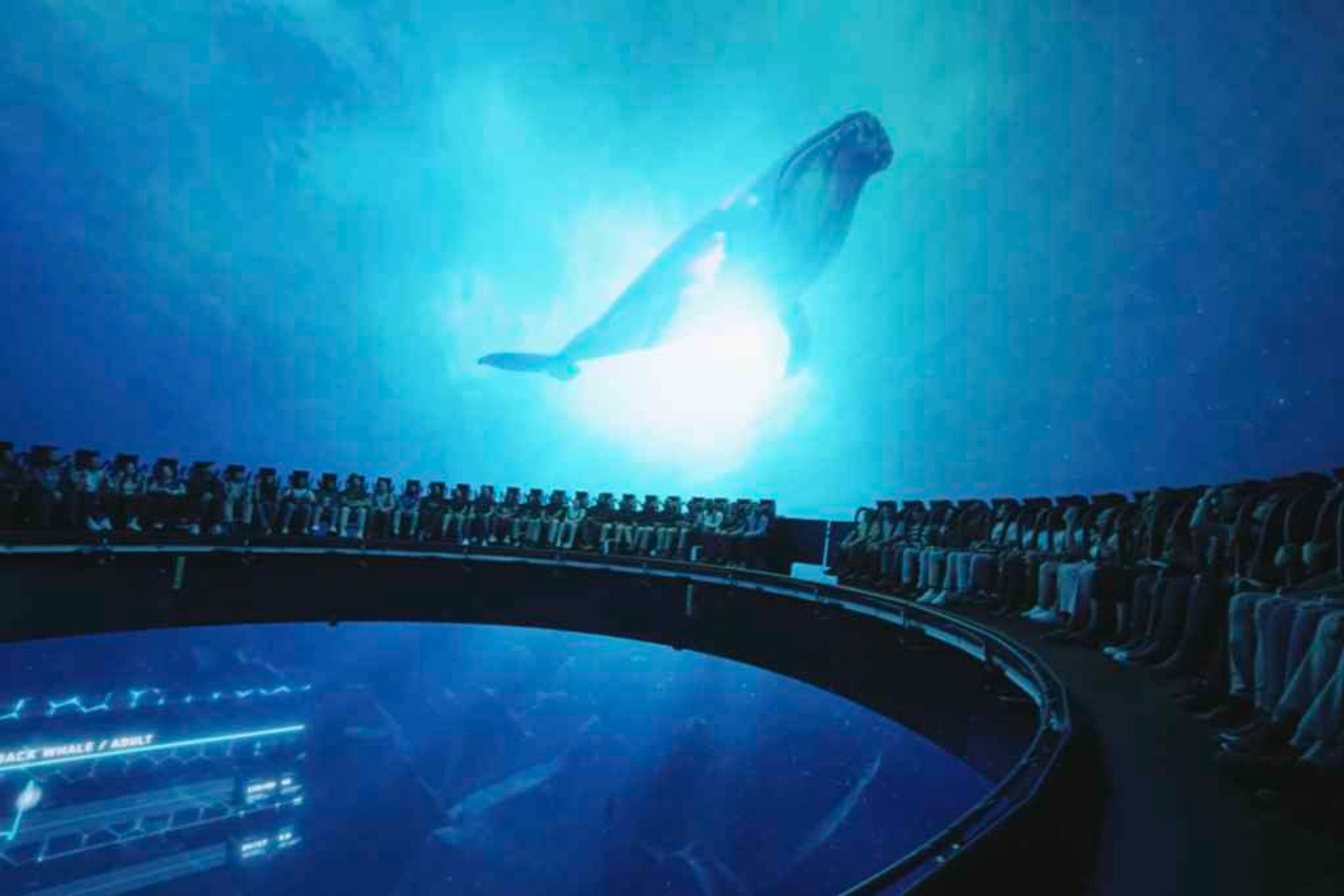 K-array - SeaWorld Abu Dhabi